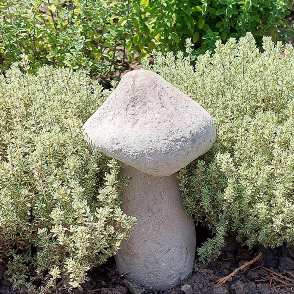 Impressionen aus meinem Lektorengärtchen